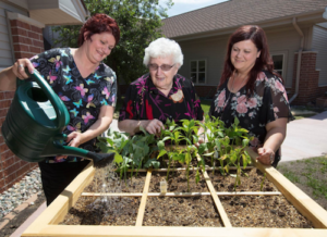 Elevated Square Foot Gardening Boxes Help Everyone Garden! - Square ...