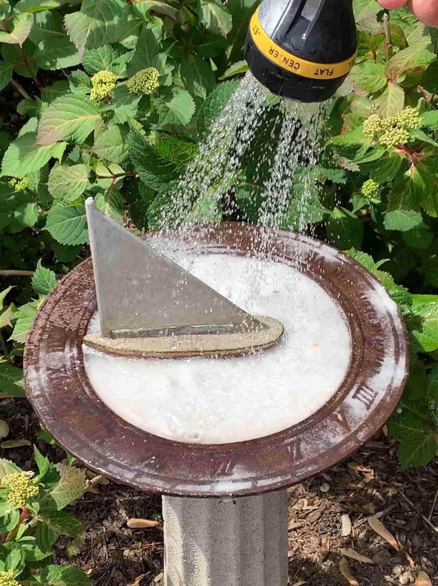 Let's Bee Friends - How To Help Our Pollinators - Square Foot Gardening