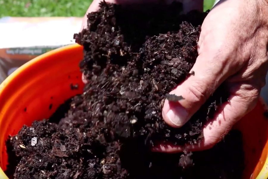 SFG Tips and Blogs - Square Foot Gardening