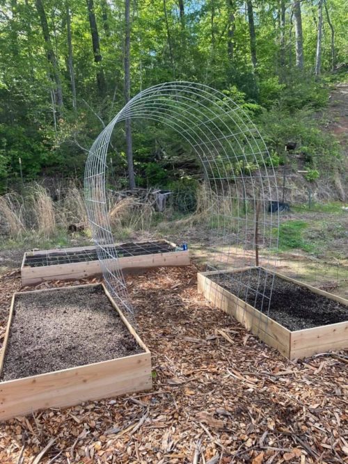 Trellis Tricks: Grow “Up” for Bigger SFG Harvests - Square Foot Gardening