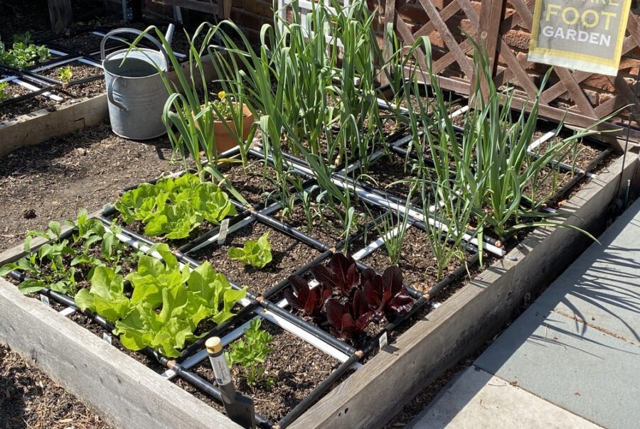 The Science of Mel's Mix soil