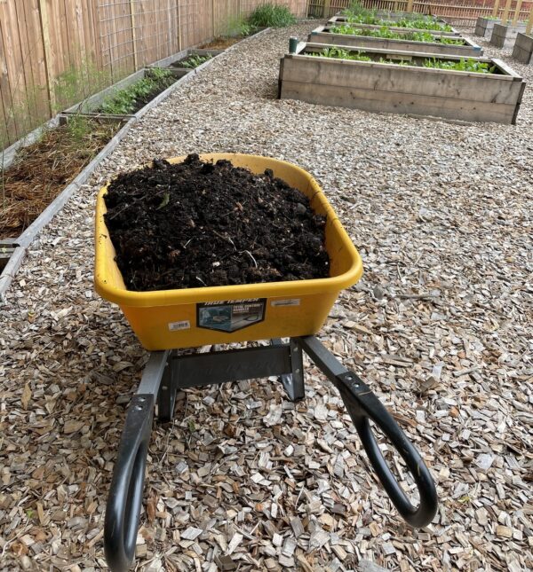 How to Make Your Own Compost