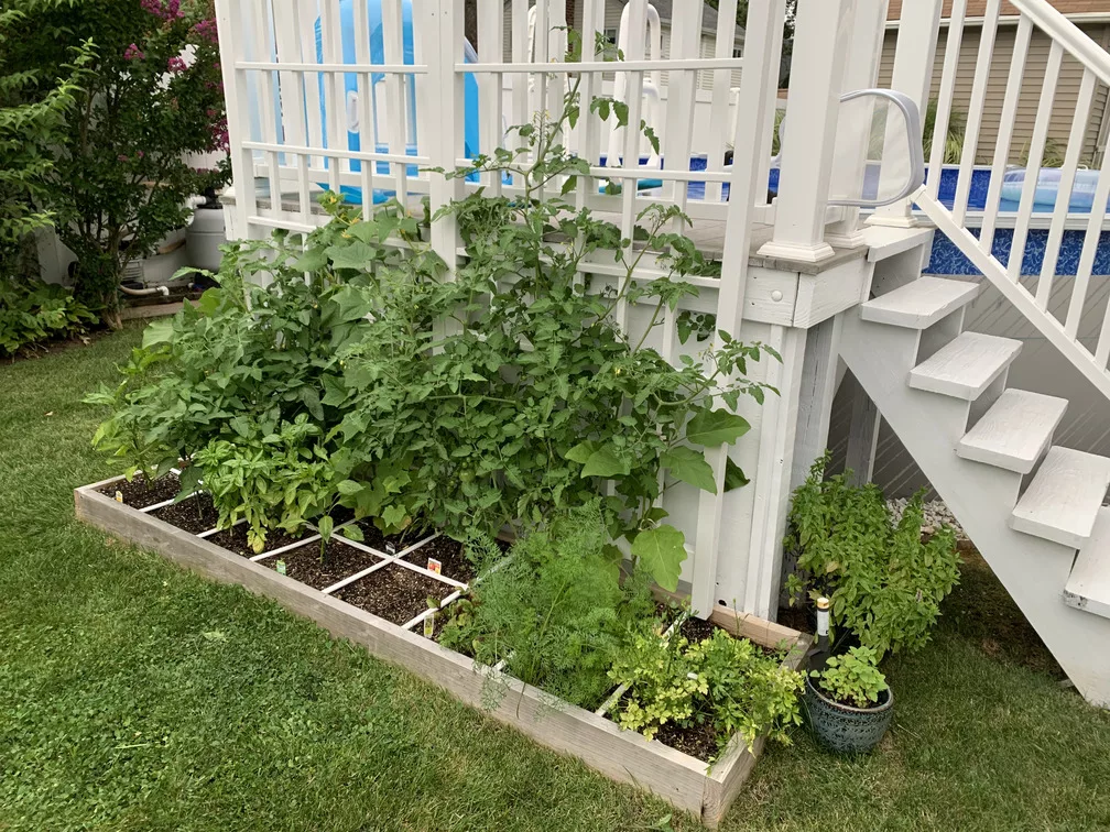 Interview: Paige Bartholomew's First Square Foot Garden - Square Foot ...