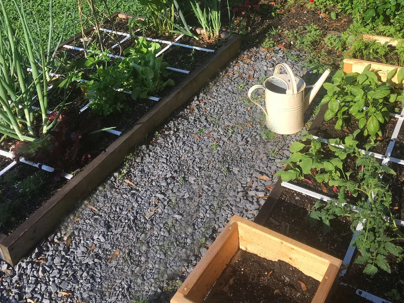 Start the SFG Growing Season: Plan a Spring Garden - Square Foot Gardening